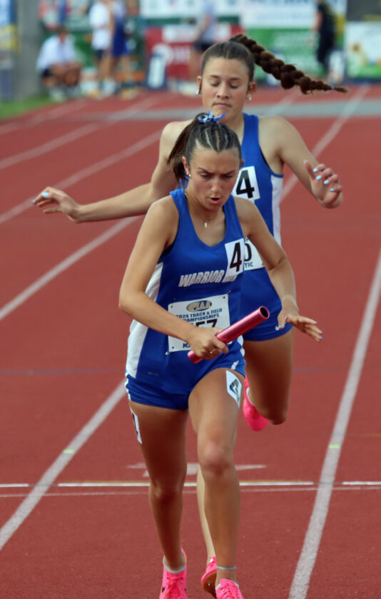 Area sees plenty of success, medals on first day of PIAA track and ...